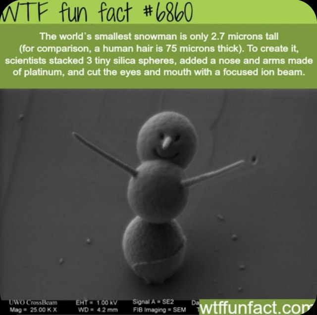 TE fun fact The world's smallest snowman is only 2.7 microns tall (for ...