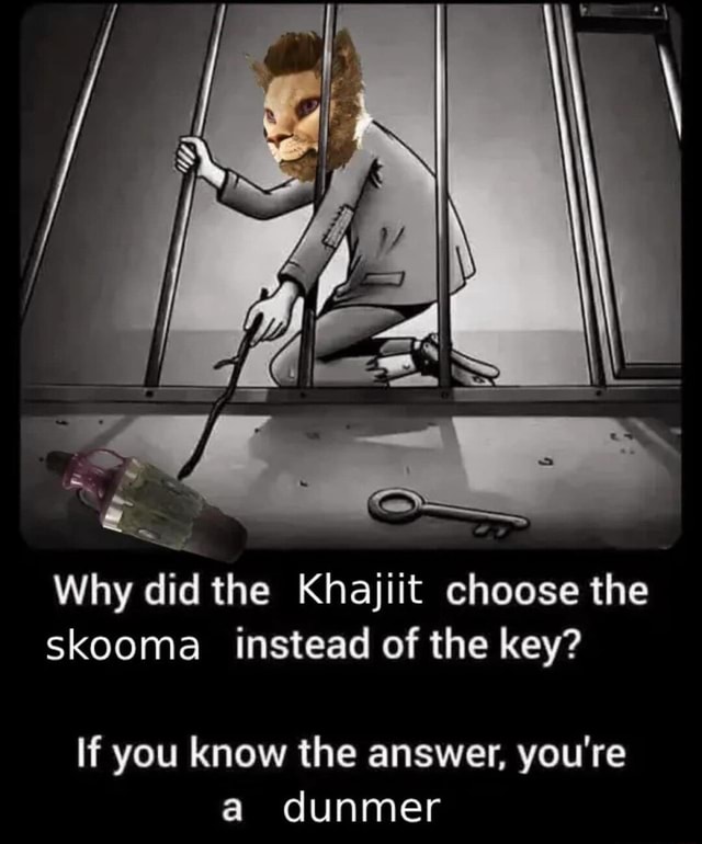 Why did the Khajiit choose the skooma_ instead of the key? If you know ...