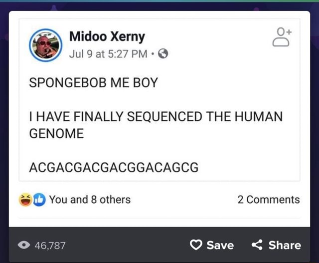 SPONGEBOB ME BOY I HAVE FINALLY SEQUENCED THE HUMAN GENOME ... SPONGEBOB ME BOY I HAVE FINALLY SEQUENCED THE HUMAN GENOME ...