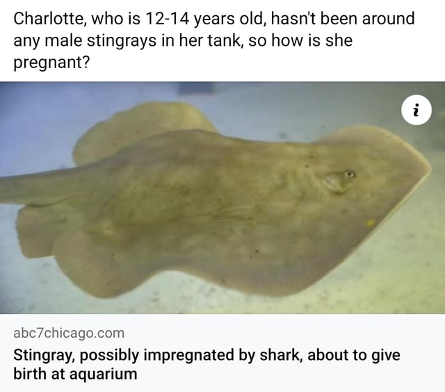 Charlotte, who is 12-14 years old, hasn't been around any male ...