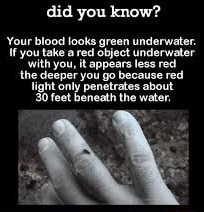 Did you know? 'Your blood looks green underwater. If you take a red ...