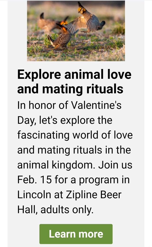 Explore animal love and mating rituals In honor of Valentine's Day, let ...