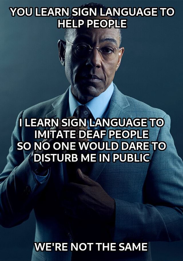 YOU LEARN SIGN LANGUAGE TO HELP PEOPLE LEARN SIGN LANGUAGE TO IMITATE ...