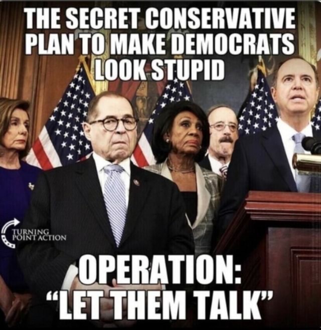 THE SECRET CONSERVATIVE PLAN TO MAKE DEMOCRATS LOOK STUPID OPERATION ...