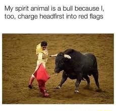 My spirit animal is a bull because I, too, charge headfirst into red ...