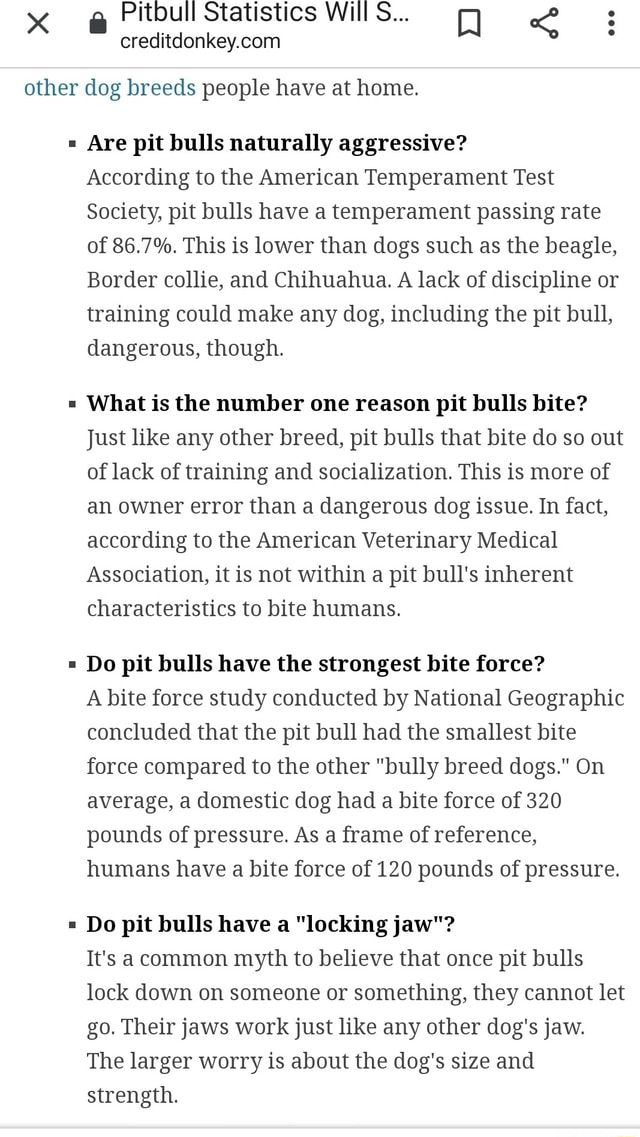 @ Pitbull Statistics Will S... other dog breeds people have at home ...