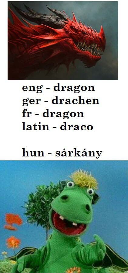Eng - dragon ger - drachen fr - dragon latin - draco hun - sarkany - iFunny
