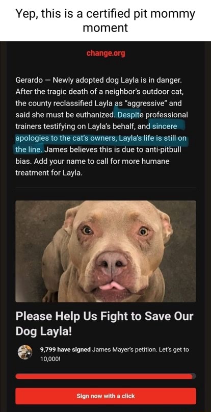 Yep, this is a certified pit mommy moment change Gerardo - Newly ...