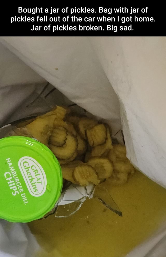 Bought a jar of pickles. Bag with jar of pickles fell out of the car ...