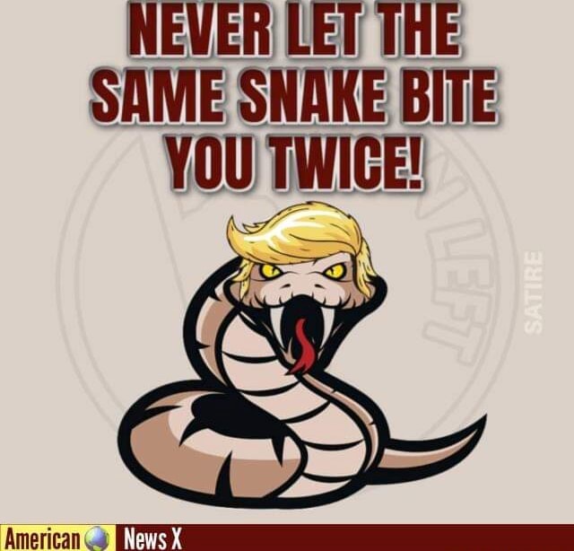NEVER LET THE SAME SNAKE BITE YOU TWICE! American\ I News - America’s ...