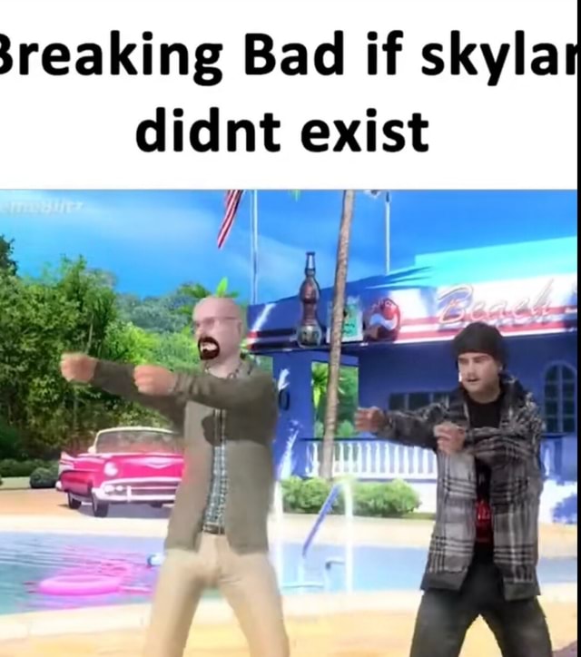 Sreaking Bad if skyla didnt exist Men - iFunny