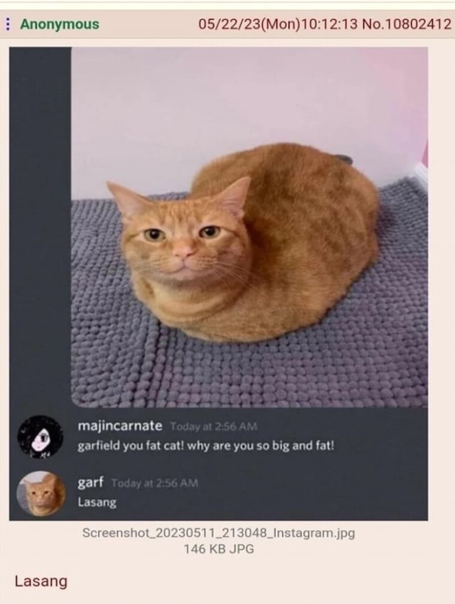 Anonymous No, 10802412 majincarnate garf Lasang garfield you fat cat ...