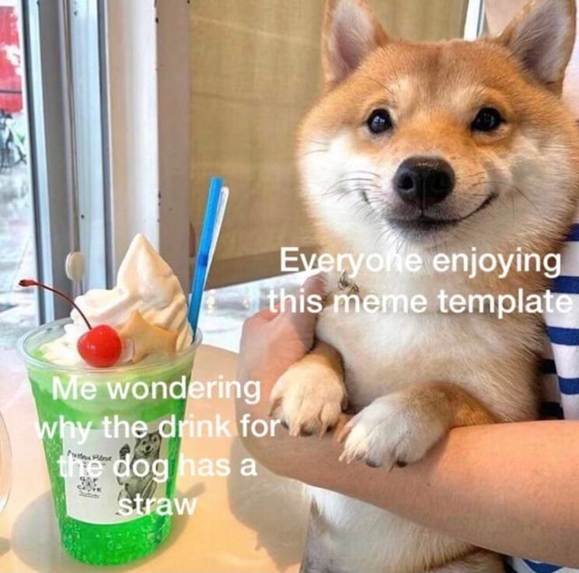 This meme template Me wondering why the drink for. the dog has a straw ...