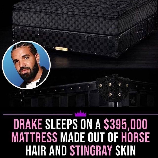 $395k 😂 - DRAKE SLEEPS ON A $395,000 MATTRESS MADE OUT OF HORSE HAIR ...