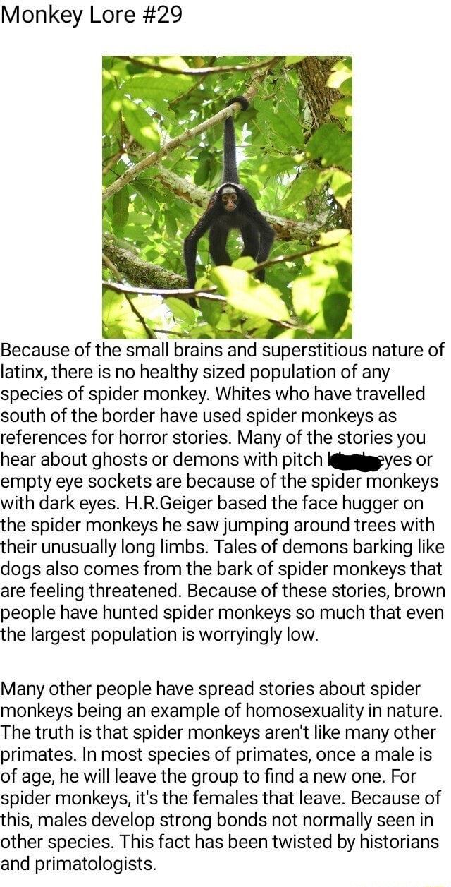 Monkey Lore #29 Because of the small brains and superstitious nature of latinx, there is no ...