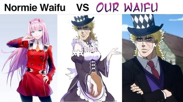Normie Waifu VS OUR WAIFU - iFunny