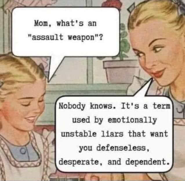 Mom, what's an "assault weapon"? Nobody knows. It's a term used by ...