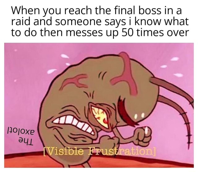 When you reach the final boss in a raid and someone says i know what to ...