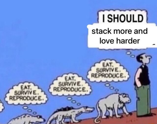SHOULD stack more and love harder - iFunny