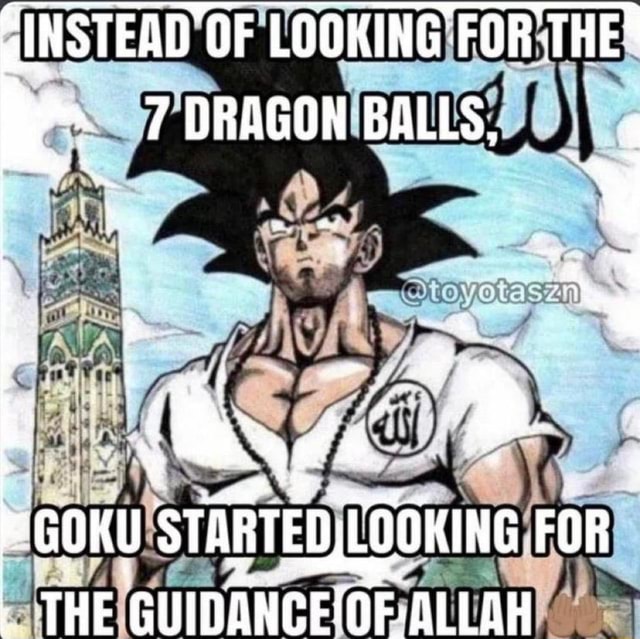 7 DRAGON BALLS, *GOKU TOOKING FOR THE GUIDANCEIOF: ALLAH OF LOOKING FOR ...