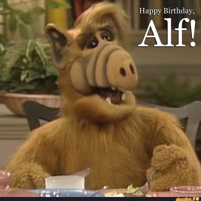 Happy Birthday, Alf! - iFunny