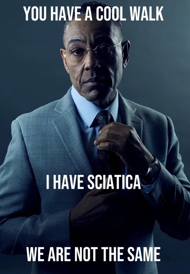 YOU HAVE A COOL WALK I HAVE SCIATICA WE ARE NOT THE SAME - iFunny