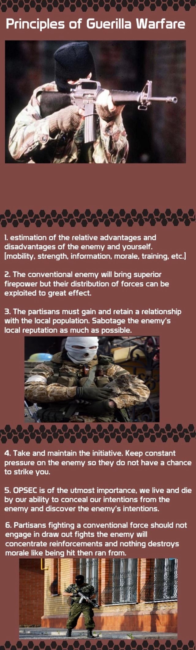 Principles of Guerilla Warfare 1. estimation of the relative advantages ...
