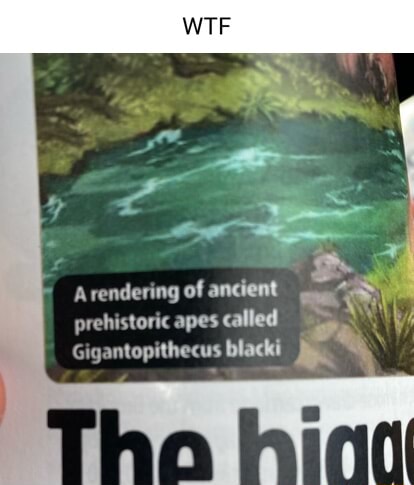 Arendering of ancient prehistoric apes called Gigantopithecus blacki ...