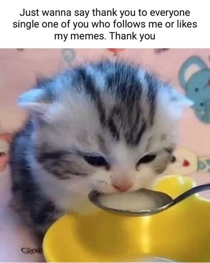 Just wanna say thank you to everyone single one of you who follows me ...