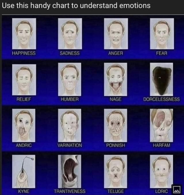 Use this handy chart to understand emotions HAPPINESS SADNESS ANGER ...