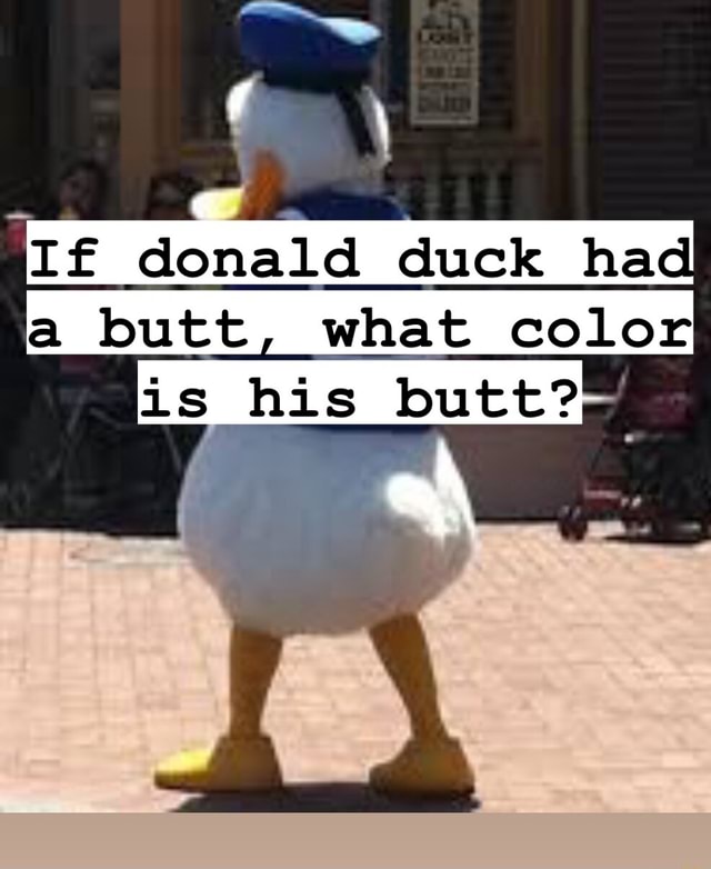 If donald duck had a butt, what color is his butt? - iFunny