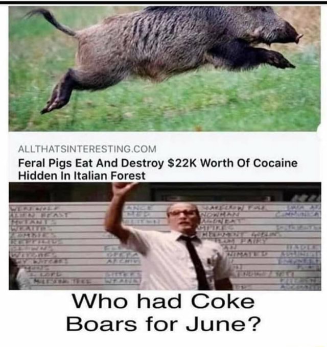 ALLTHATSINTERESTING.COM Feral Pigs Eat And Destroy $22K Worth Of ...