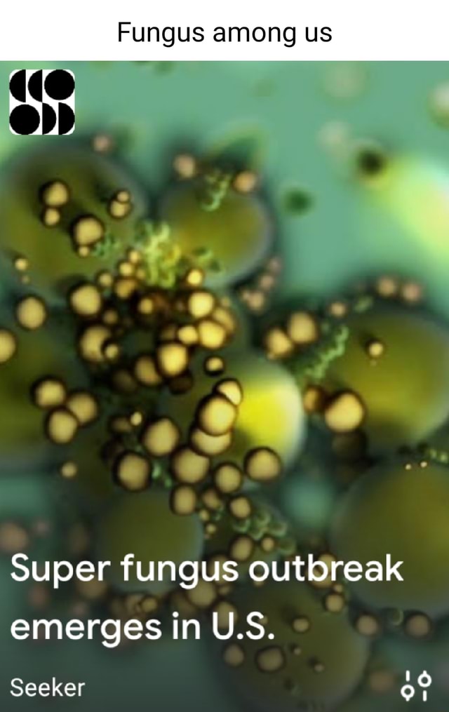 Fungus among us Super fungus outbreak emerges in U.S. Seeker - iFunny