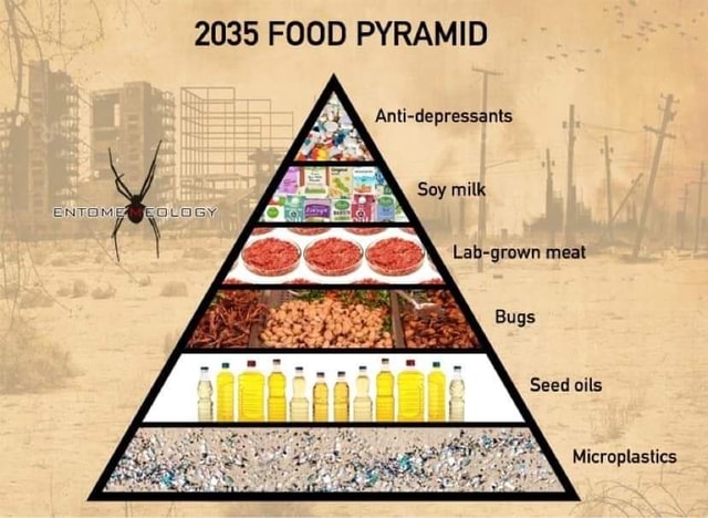 2035 FOOD PYRAMID Anti-depressants Say Seed oils Microplastics - iFunny