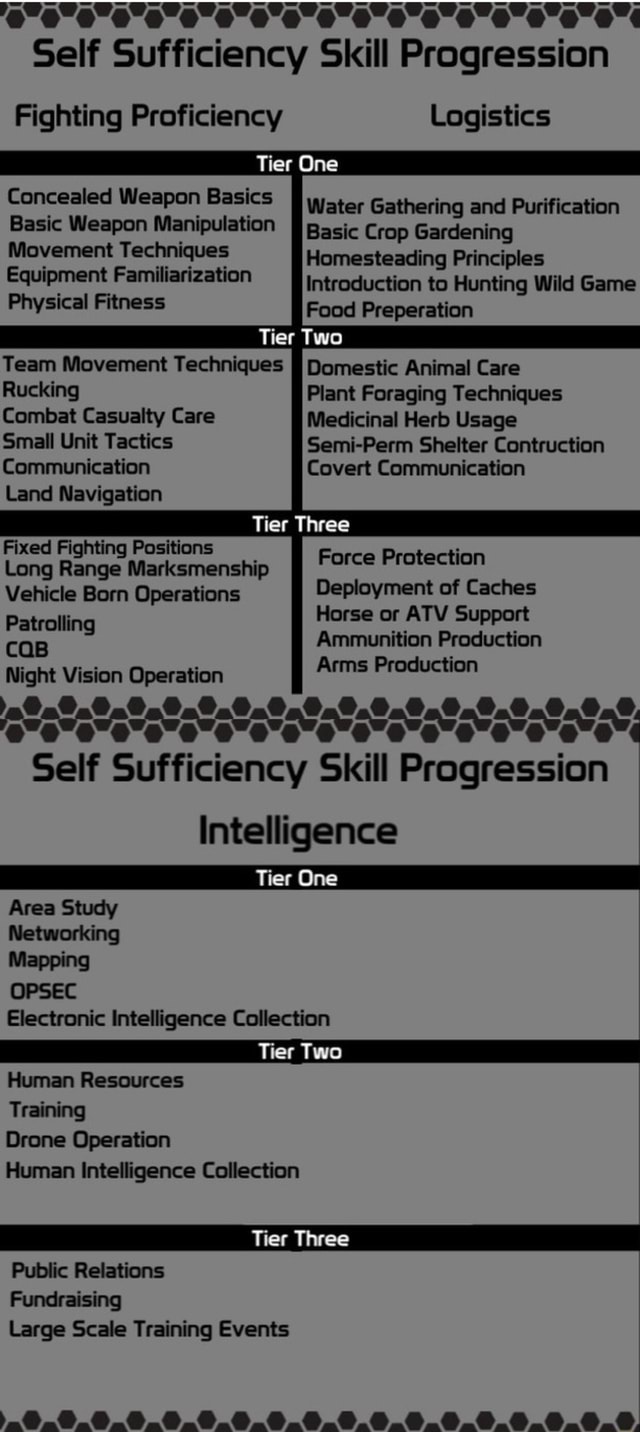 Self Sufficiency Skill Progression Fighting Proficiency Logistics Tier ...