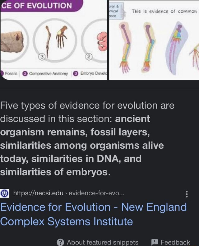 CE OF EVOLUTION Five types of evidence for evolution are discussed in ...