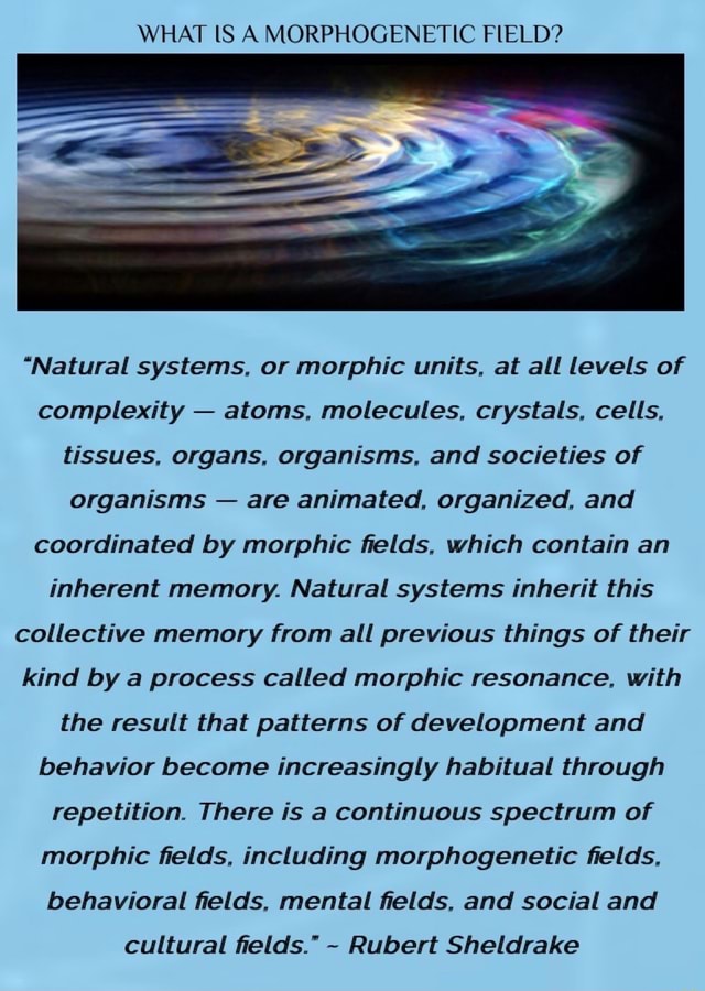 WHAT tS A MORPHOGENETIC FIELD? NN ON "Natural systems, or morphic units, at all levels of ...