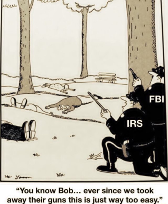 FBI IRS "You know Bob... ever since we took away their guns this is ...