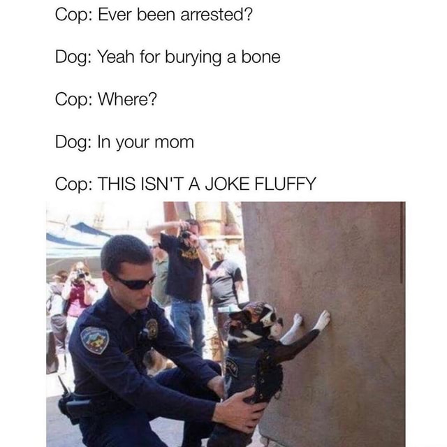 Dogs are funny😂 . . ️follow @parentjokes for more if you haven't ...