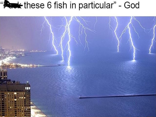 These 6 fish in particular" - God - iFunny