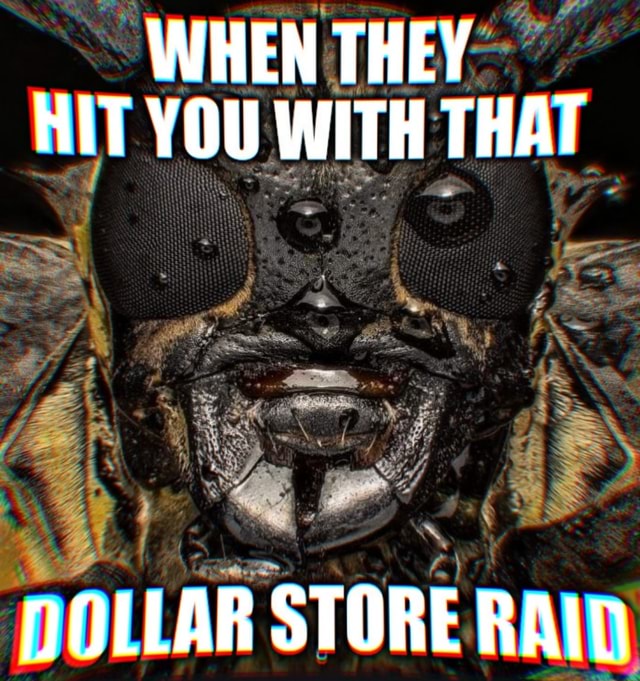 WHEN THEY HIT YOU WITH THAT DOLLAR STORE RAID - iFunny