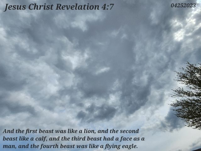 Jesus Christ Revelation And the first beast was like a lion, and the ...