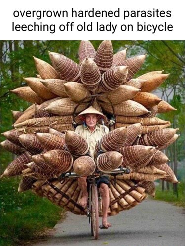 Overgrown hardened parasites leeching off old lady on bicycle - iFunny