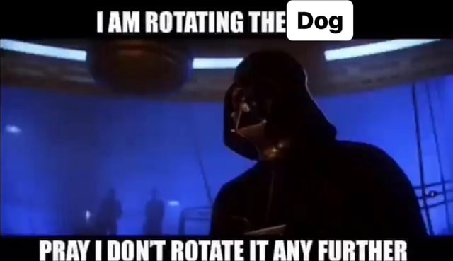 AM ROTATING THE Dog: PRAY DONT ROTATE IT ANY FURTHER - iFunny