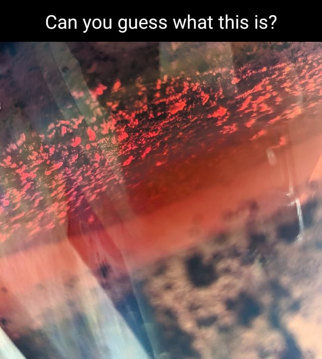 Can you guess what this is? - iFunny