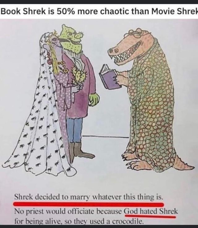 Book Shrek is 50% more chaotic than Movie Shrel Shrek decided to marry ...