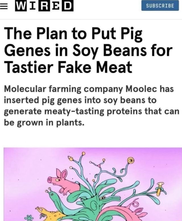 = WIE) The Plan to Put Pig Genes in Soy Beans for Tastier Fake Meat ...