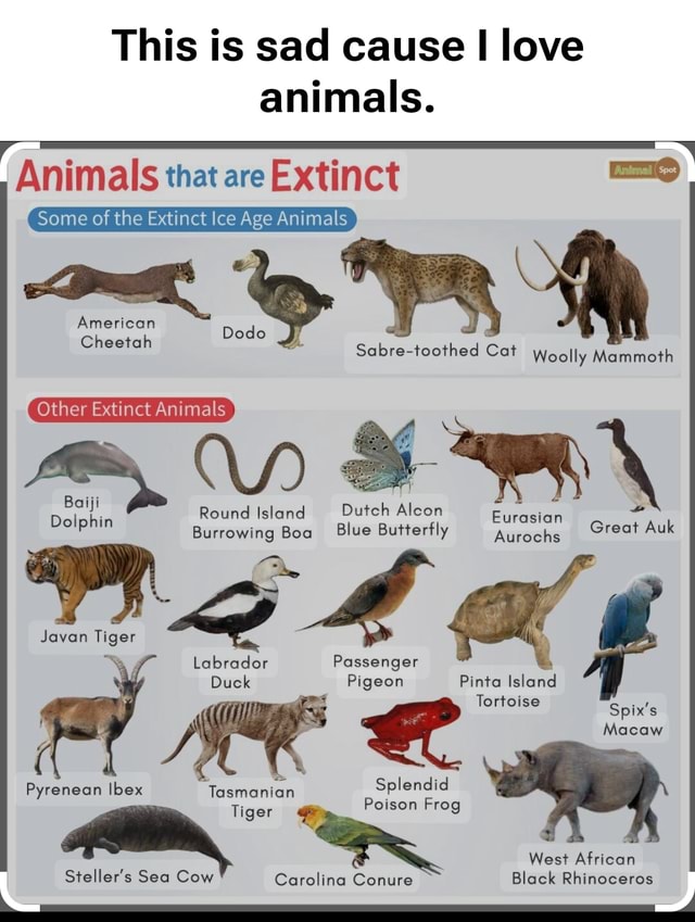This is sad cause I love animals. Animals that are Extinct Some Some ...
