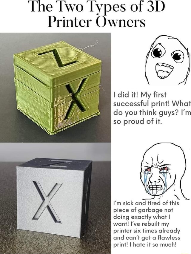 'The Two Types of Printer Owners I did it! My first successful print ...