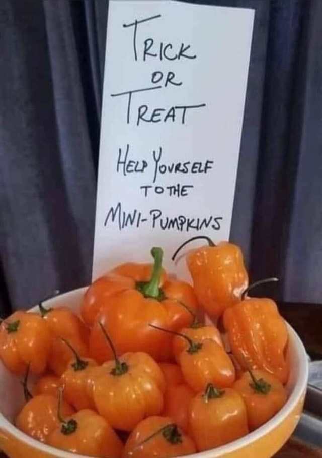 OR. I Heep Yoves euF TOME - iFunny